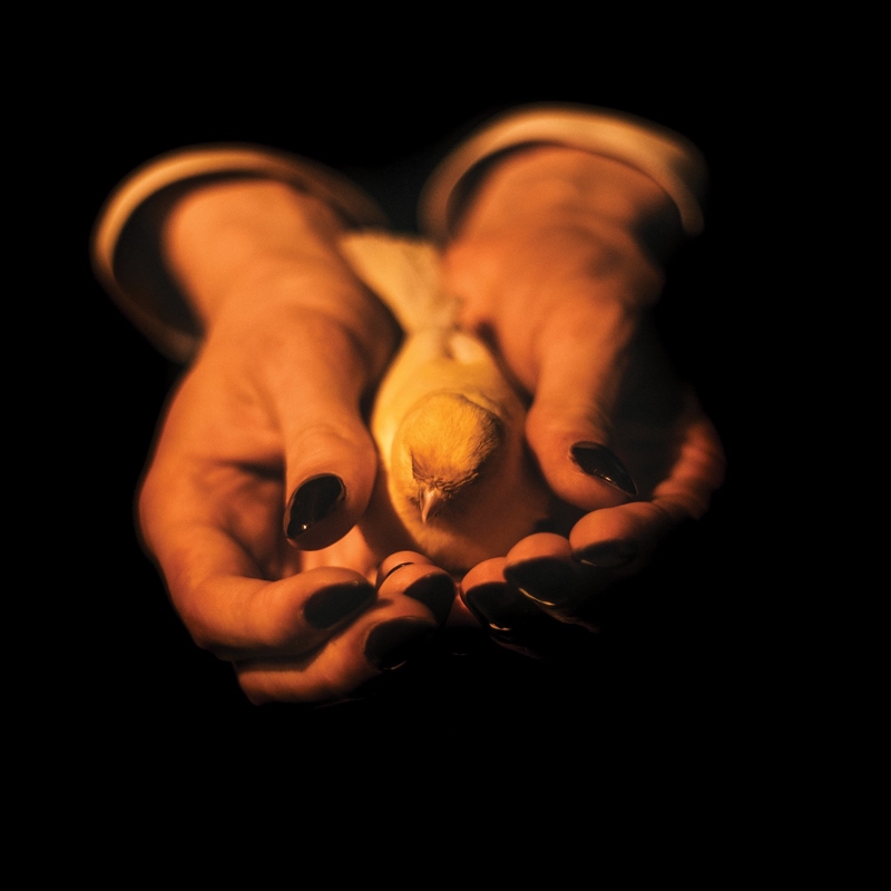 ”meek” by ローレン・オーダー - トラック・歌詞情報 | AWA