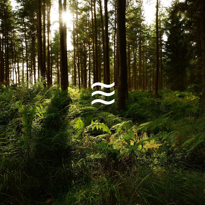 ”Calmful Ambient of Rainfall” by Calmful Rainfall for Kids - トラック・歌詞情報 ...