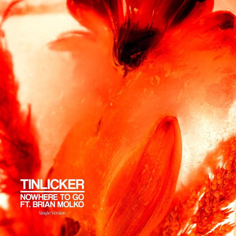 ”Nowhere To Go (feat. Brian Molko) (Single Version)” by Tinlicker/Brian ...