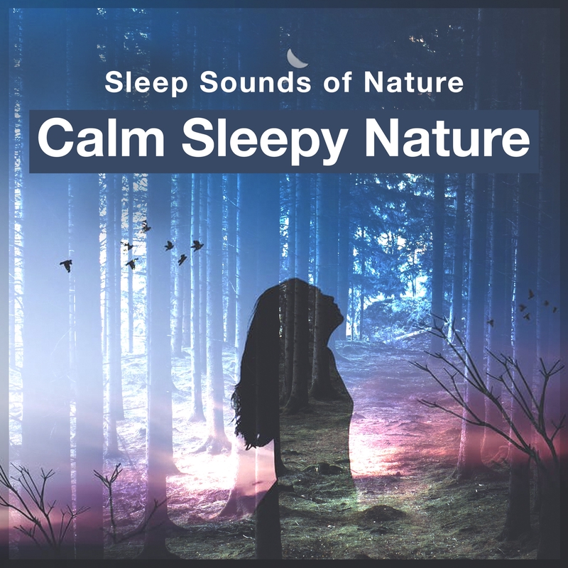 ”Birds in Misty Rain” by Sleep Sounds of Nature - トラック・歌詞情報 | AWA