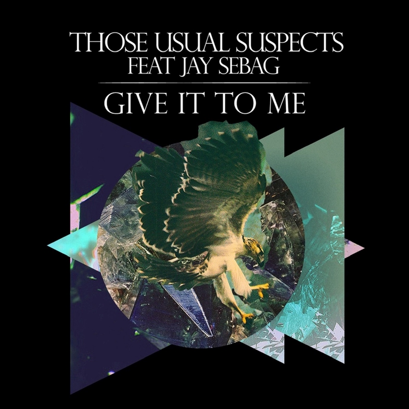 ”Give It to Me (Maarcos' Big Room Edit) feat. Jay Sebag” by Those Usual Suspects feat. Jay Sebag ...
