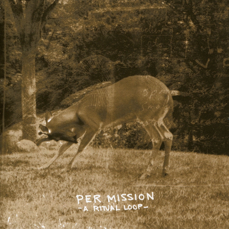 ”Discovered / Incised” by Per Mission - トラック・歌詞情報 | AWA