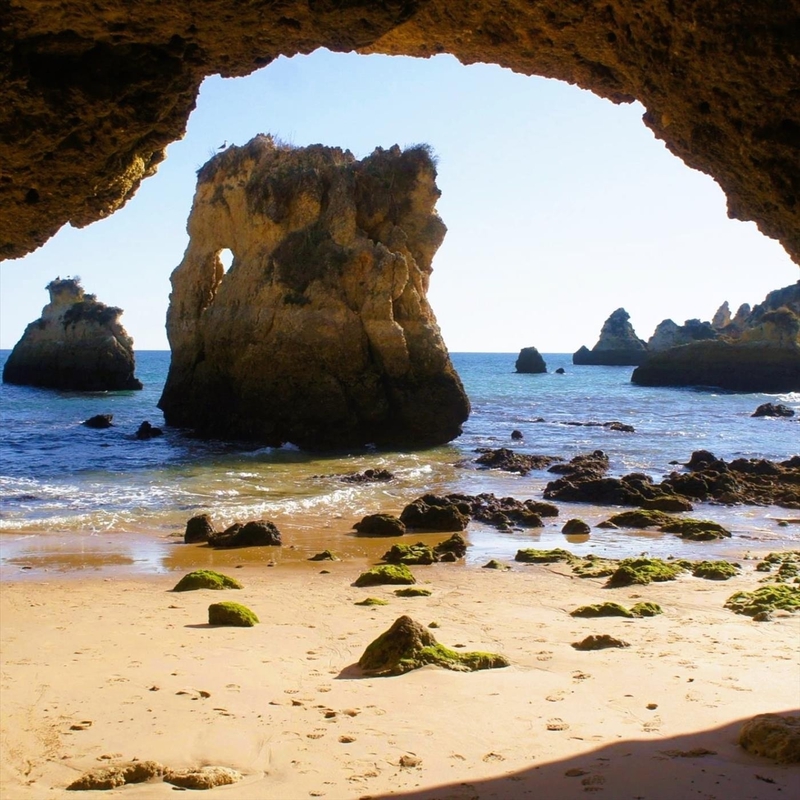 ”Medieval Dance Fantasy for My Magic Flute” by Andrei Krylov - トラック・歌詞 ...