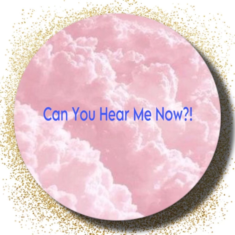 ”Can You Hear Me Now?!” by The Harmony Twins - トラック・歌詞情報 | AWA