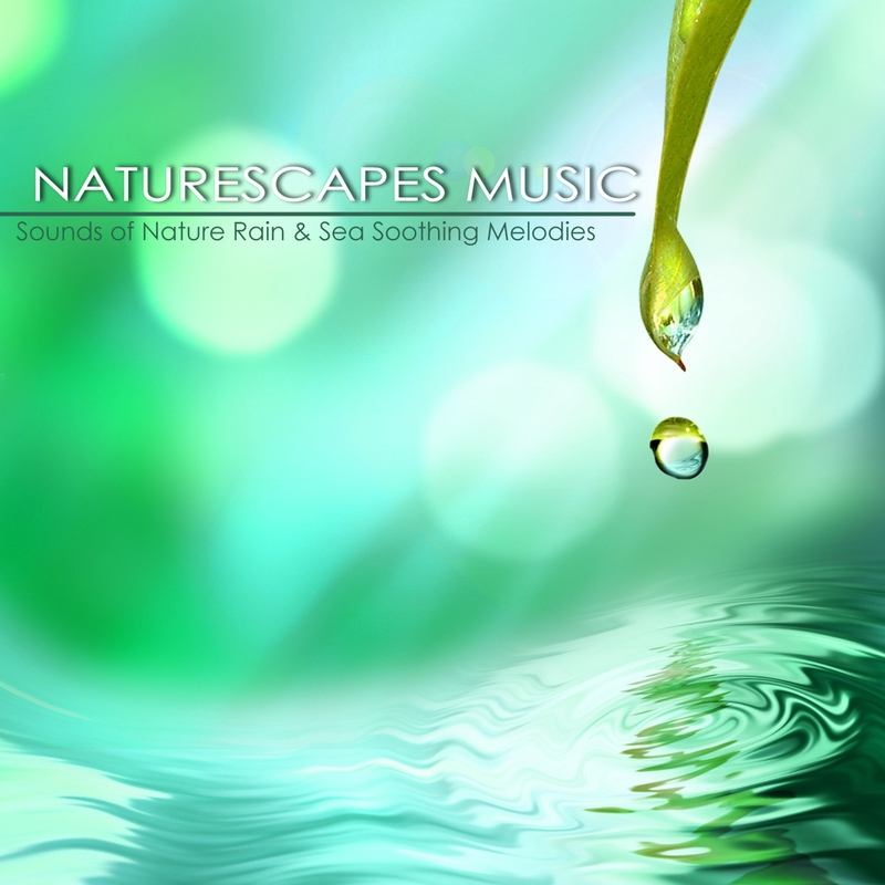 ”Instrumental Music, Relaxing Forest Noise” by Naturescapes for Mindfulness Meditation - トラック・歌詞 ...