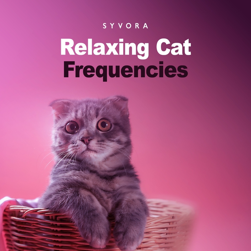 ”Ginger Friday” by Syvora - トラック・歌詞情報 | AWA