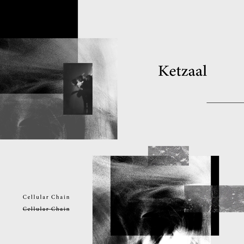 ”Cellular Chain (Raw Mix)” by Ketzaal - トラック・歌詞情報 | AWA
