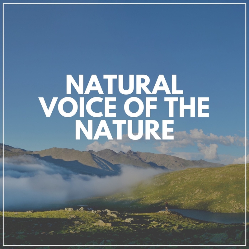 ”Nature Ambient Sounds for Relaxation, Pt. 24” by Nature & Sounds ...