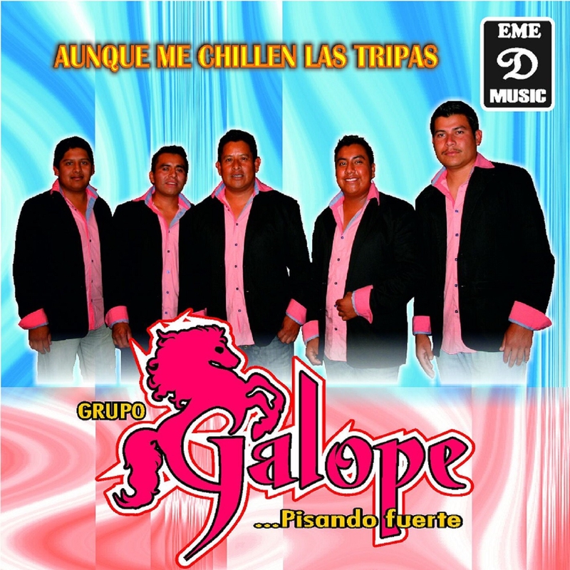 ”Popurri Chivo Flaco” by Grupo Galope - トラック・歌詞情報 | AWA