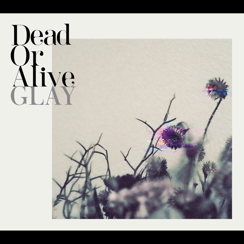 ”Dead Or Alive (BUNNY Remix)” by GLAY - トラック・歌詞情報 | AWA