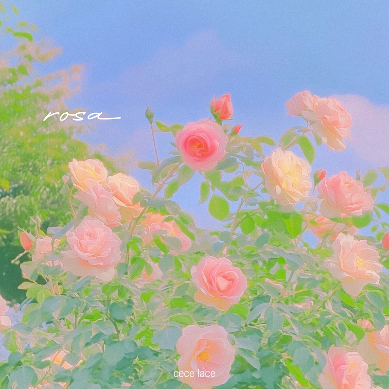 ”rosa” by cece lace - トラック・歌詞情報 | AWA