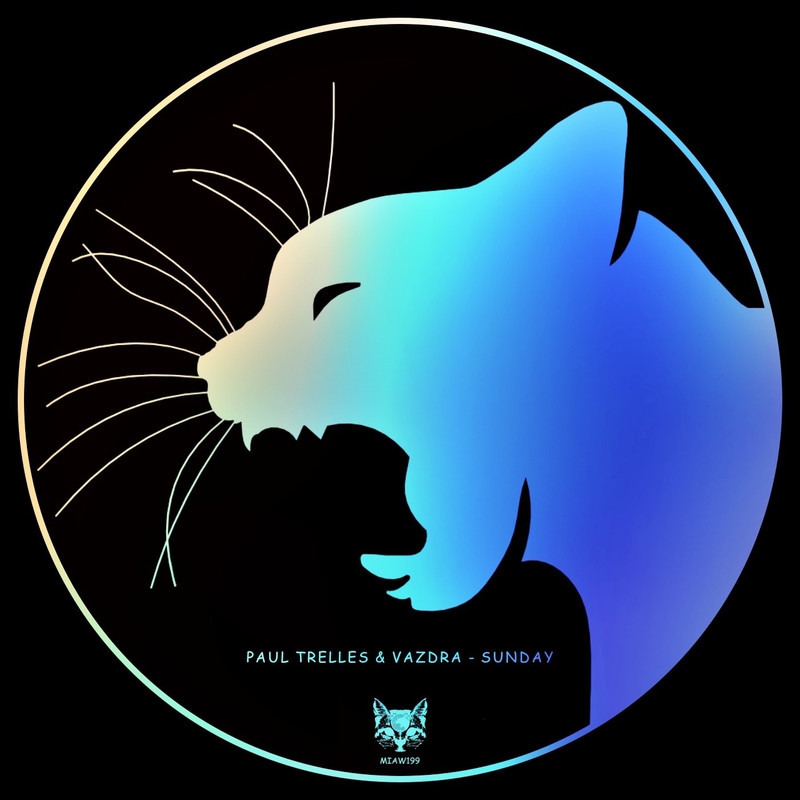 ”Pleasure (Original Mix)” by Paul Trelles/Vazdra - トラック・歌詞情報 | AWA