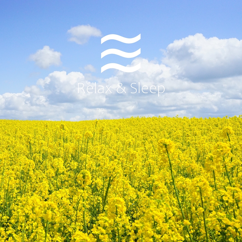 ”Easy Nice Waves of Water for Calm” by Placid Sea Waves - トラック・歌詞情報 | AWA