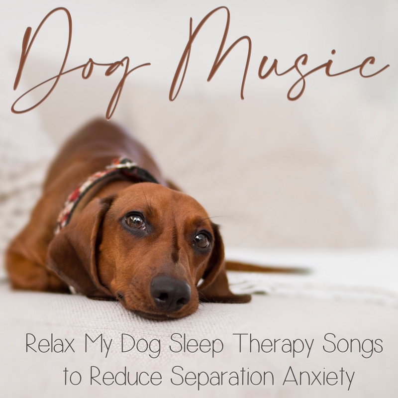 ”Sleep Anthem” by Relaxmydog/Dog Music Dreams/Dog Music Therapy - トラック ...