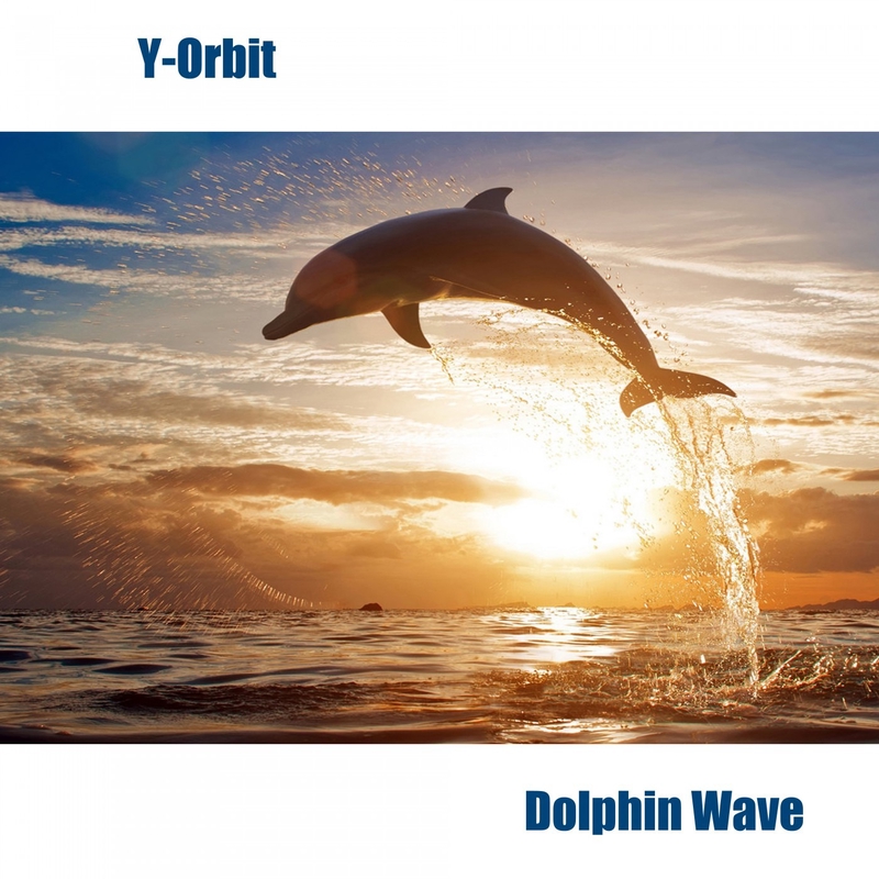 ”Dolphin Wave” by Y-Orbit - トラック・歌詞情報 | AWA