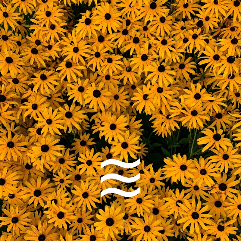 ”Better Baby Sleep Pink Sough” by Peaceful Pink Noise - トラック・歌詞情報 | AWA