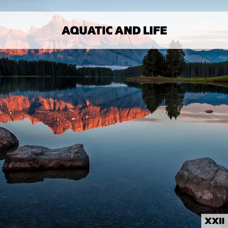 ”Concert” by Pozzi & Bonalumi - トラック・歌詞情報 | AWA