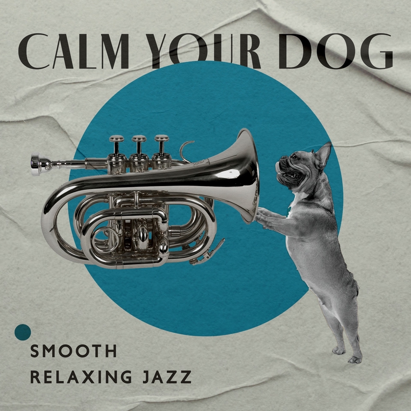 ”Sax for a Dog” by Pet Music Academy - トラック・歌詞情報 | AWA