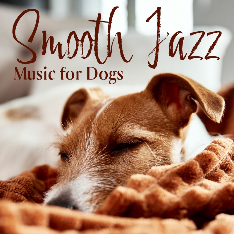 ”Sax for a Dog” by Calming Jazz Relax Academy, Stress Reducing Music ...