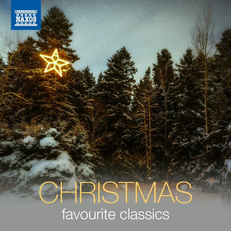 ”Noëls sur les instruments, H. 534: No. 3, Vous qui désirez sans fin ...