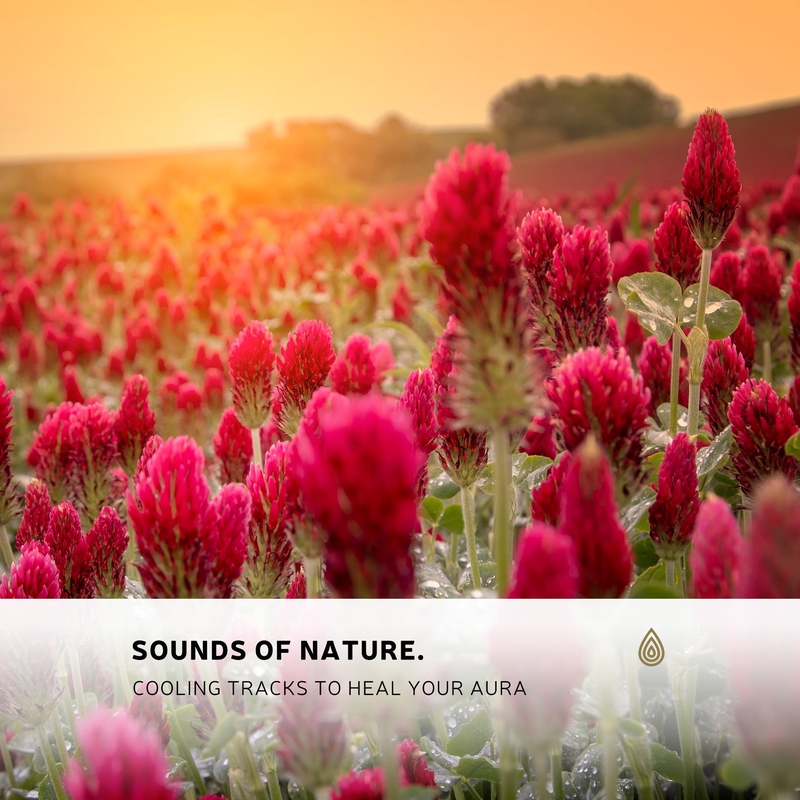 ”Wind and Nice Stormy Ocean” by Rajat Rama Yoga/Dhriti Aloki Chakra ...