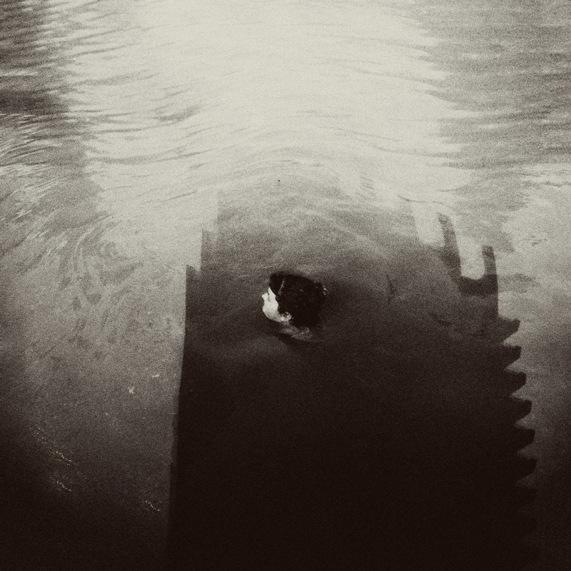 ”Punctum No. 2 feat. Leonardo Outeiro” by Bardino - トラック・歌詞情報 | AWA