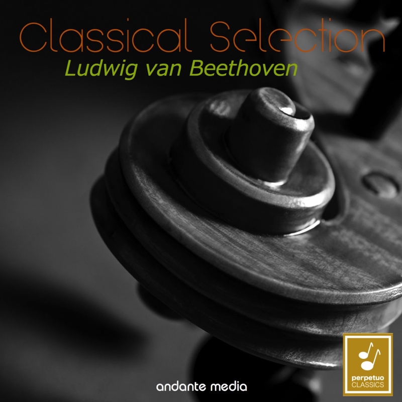 ”6 String Quartets, Op. 18, No. 2 in G Major: IV. Allegro molto, quasi ...