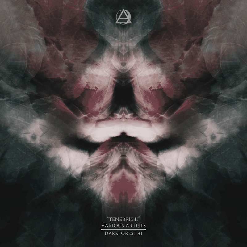 ”Fluid Mechanics” by DCM (SP) - トラック・歌詞情報 | AWA