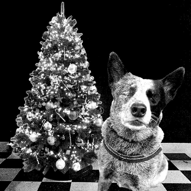 ”Rockin’ Around the Christmas Tree” by J. Graves - トラック・歌詞情報 | AWA