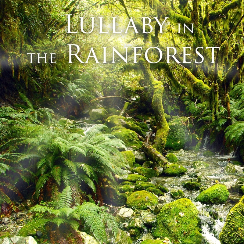 ”Voices of the Rainforests” by Gene Pierson - トラック・歌詞情報 | AWA