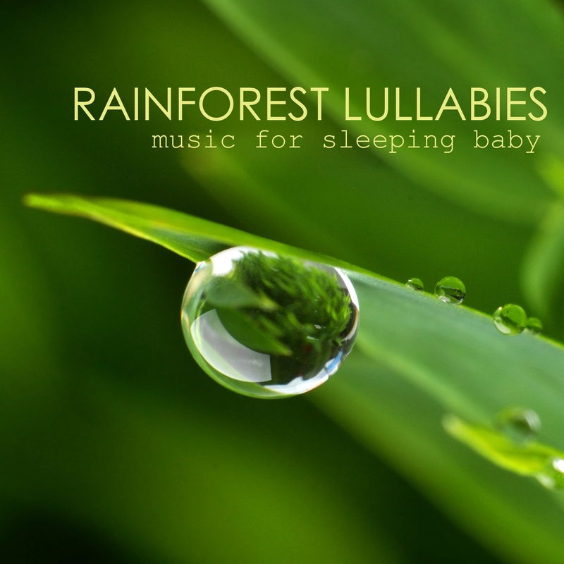 ”Lions Sleep Tonight” by Rainforest Music Lullabies Ensemble - トラック・歌詞 ...