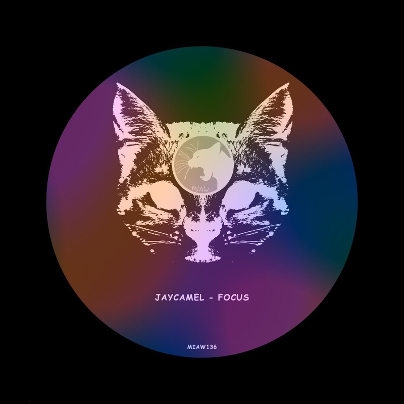 ”Baby (Original Mix)” by JayCamel - トラック・歌詞情報 | AWA