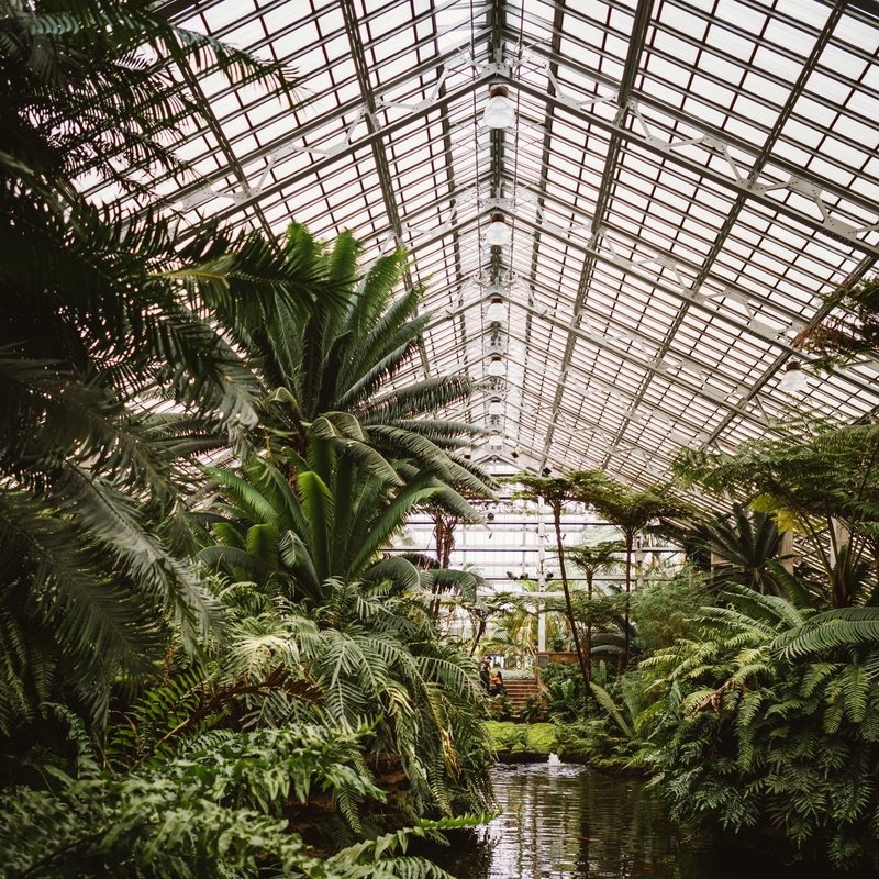 ”Calm Breeze” by Weather Factory, Deep Sleep, PowerThoughts Meditation ...