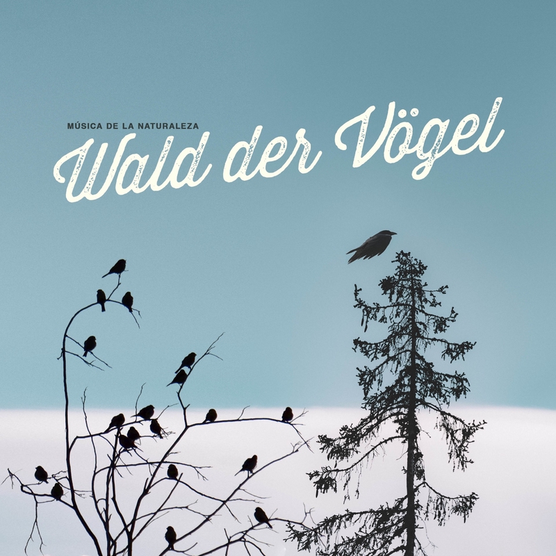 ”Winter Resonating” by Vogelgezwitscher - トラック・歌詞情報 | AWA