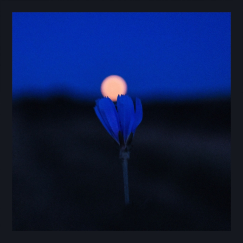 ”Slow Burn” by Sweet Medicine - トラック・歌詞情報 | AWA