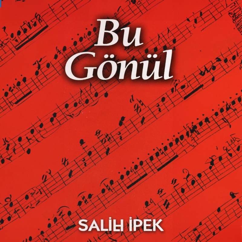 ”Anama (Şiir)” by Salih İpek - トラック・歌詞情報 | AWA