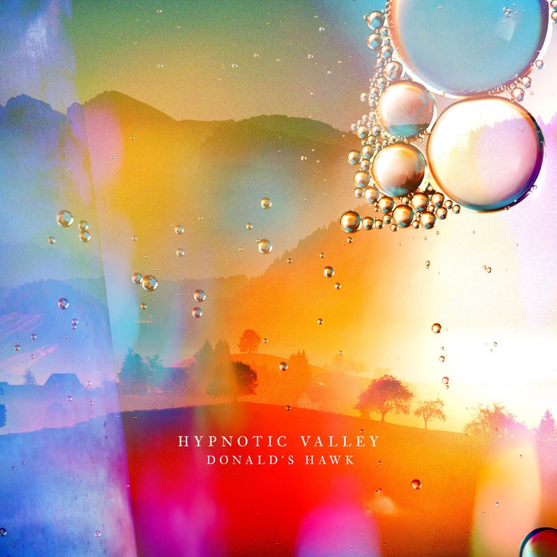 ”Screech Impulse” by Donald's Hawk - トラック・歌詞情報 | AWA