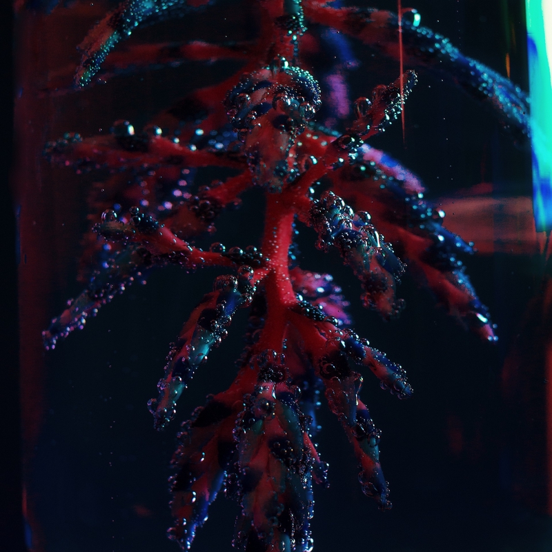 ”Rest Yr Troubles Over Me” by Objekt - トラック・歌詞情報 | AWA