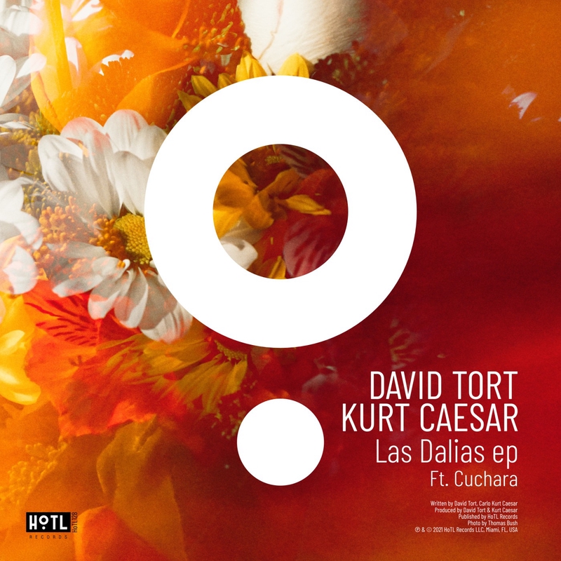 ”As Above So Below (feat. Cuchara)” by David Tort/Kurt Caesar - トラック・歌詞 ...