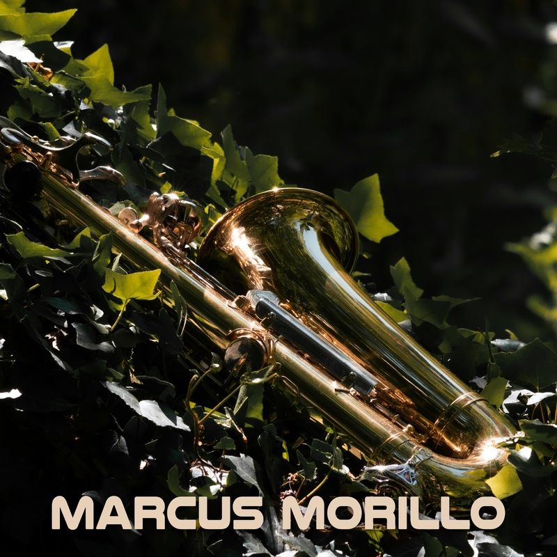 ”Jungle Boogie (Sped Up)” by Marcus Morillo - トラック・歌詞情報 | AWA