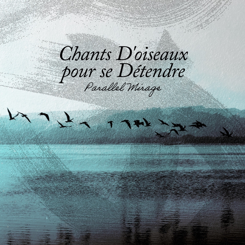 ”Dry Calls” by Parallel Mirage - トラック・歌詞情報 | AWA